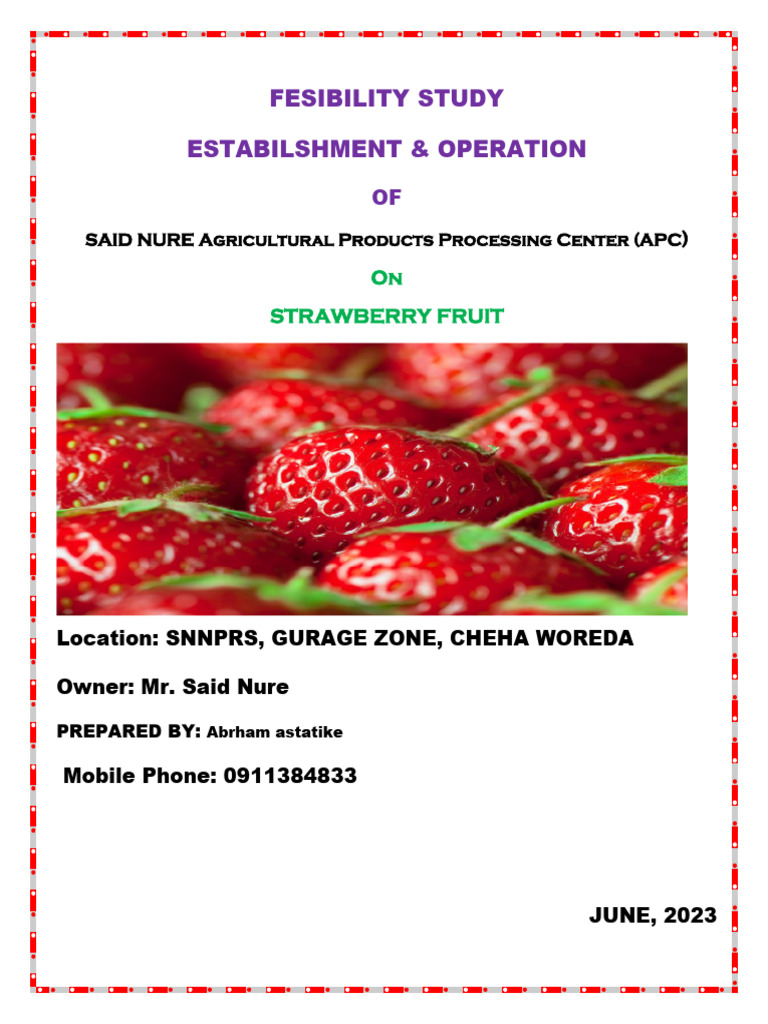 Srawberry Fruit Processing Industry-2015 | PDF | Net Present Value ...