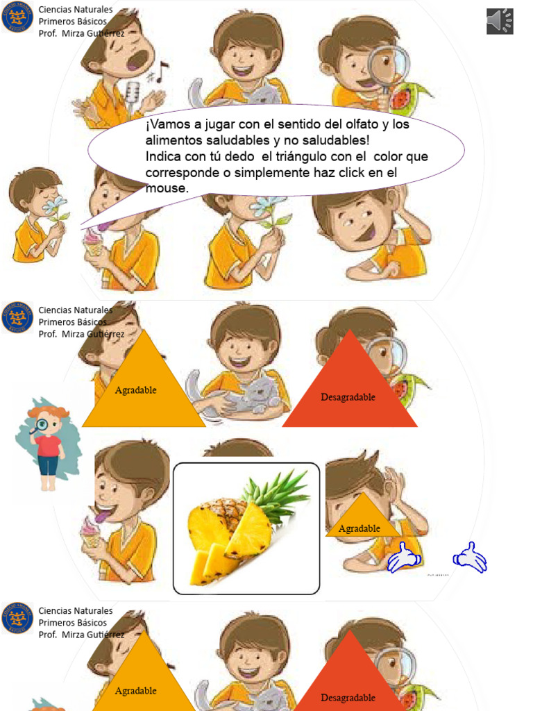 Juego Del Sentido Del Olfato y de Comidas Saludable y No Saludable. | PDF