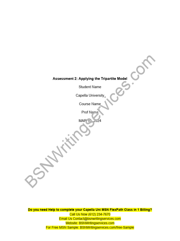 NURS FPX 6103 Assessment 2 Applying The Tripartite Model | PDF ...