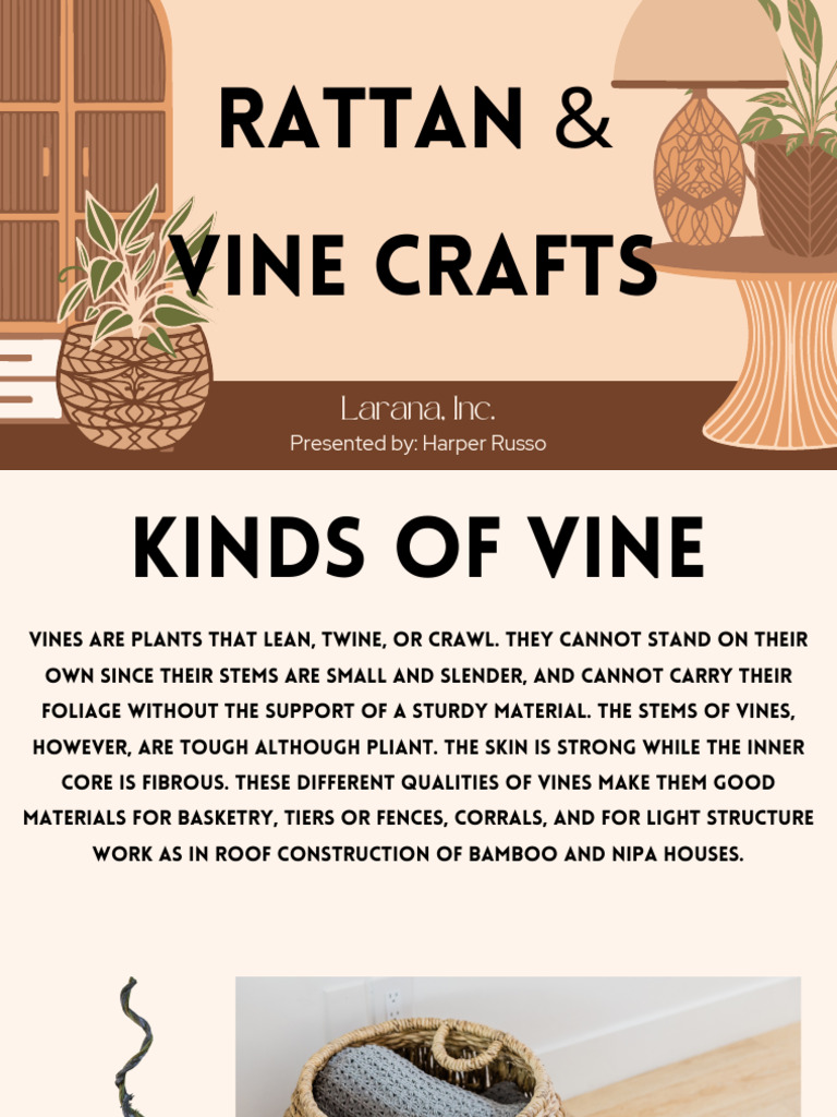 Rattan and Vine Craft Techniques | PDF | Basket Weaving | Plant Stem