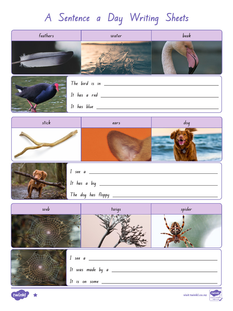 NZ e 1631682664 Level 1 Sentence A Day Differentiated Writing Sheets ...