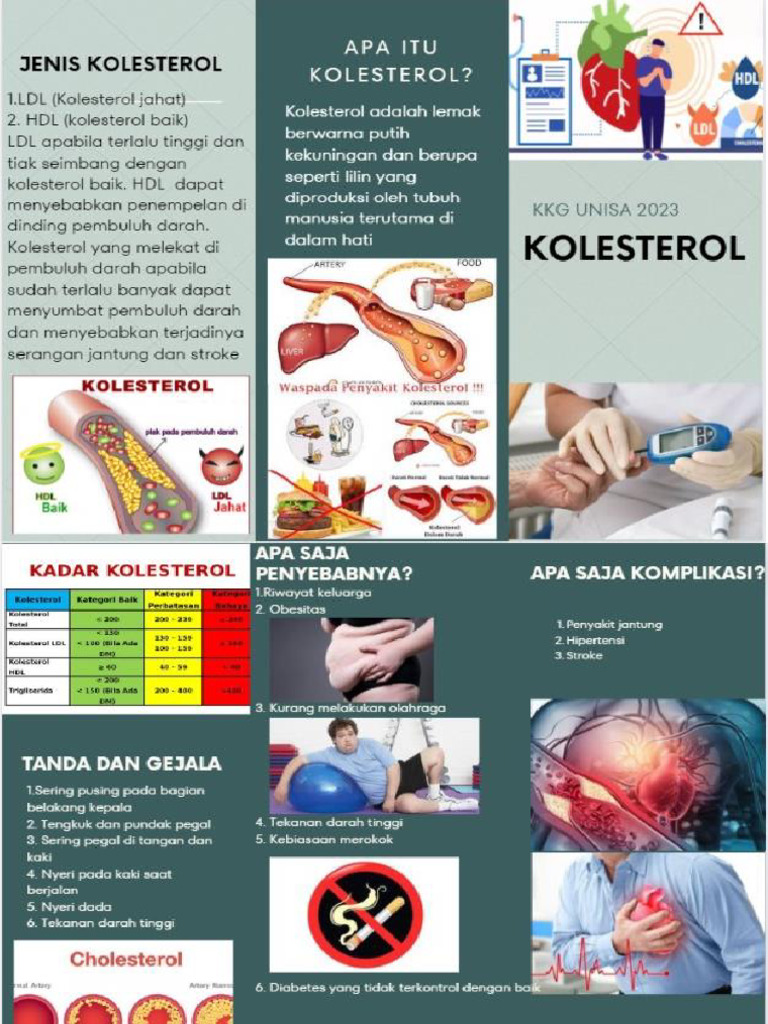 Leaflet Kolesterol DOPS - Dewi Dan Hasna | PDF