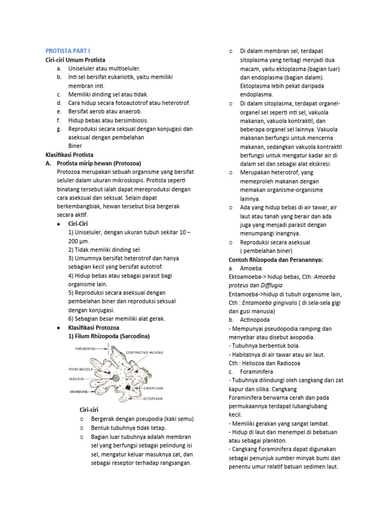 Ciri dan Klasifikasi Protista Uniseluler | PDF