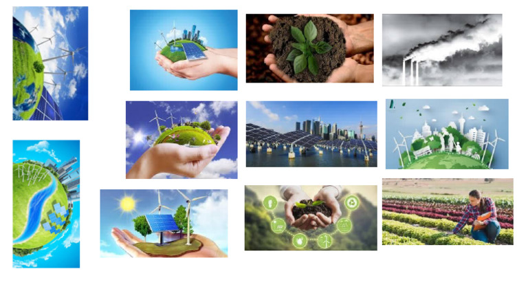 Ecologia Collage | PDF