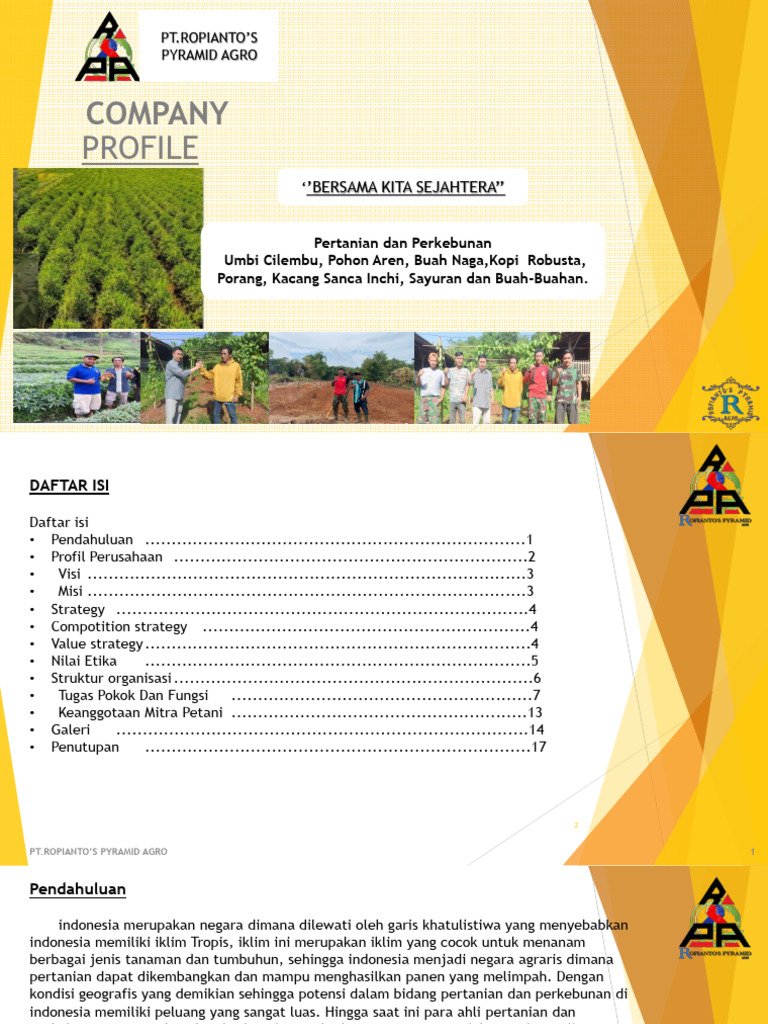 Profil Company | PDF