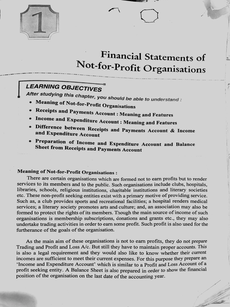 Npo PDF | Download Free PDF | Debits And Credits | Expense