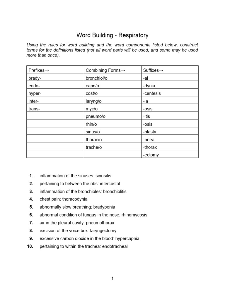 Cardio Respiratory Word Building Assignment 7 | PDF | Heart | Atrium ...