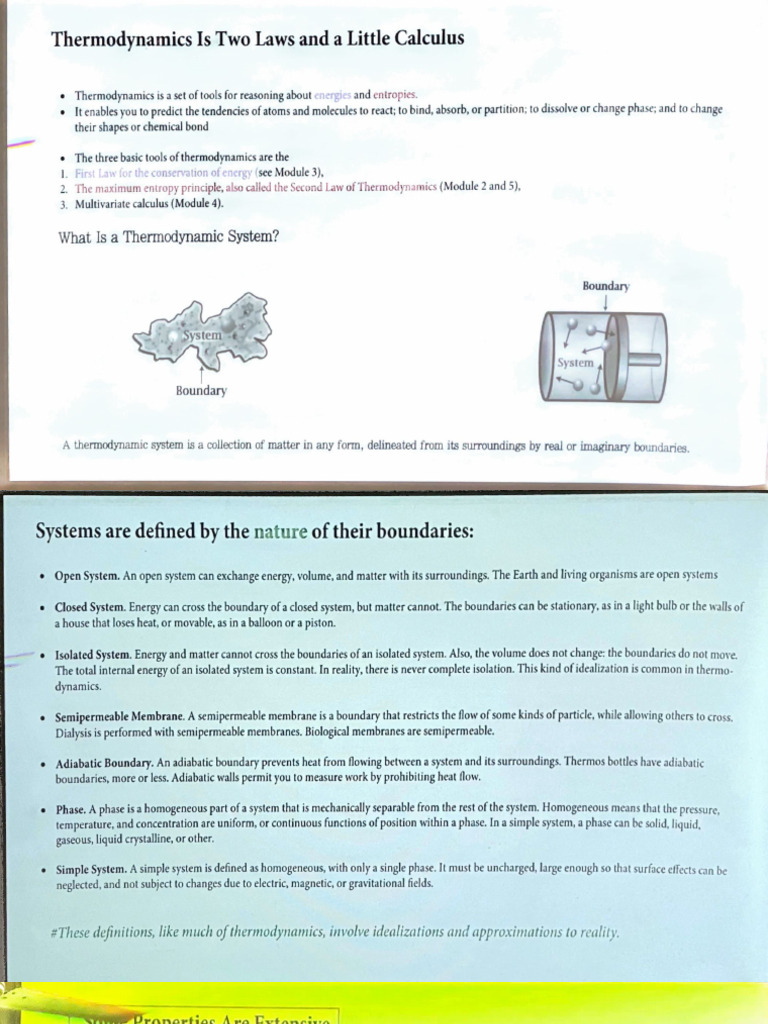 Module 6 | PDF