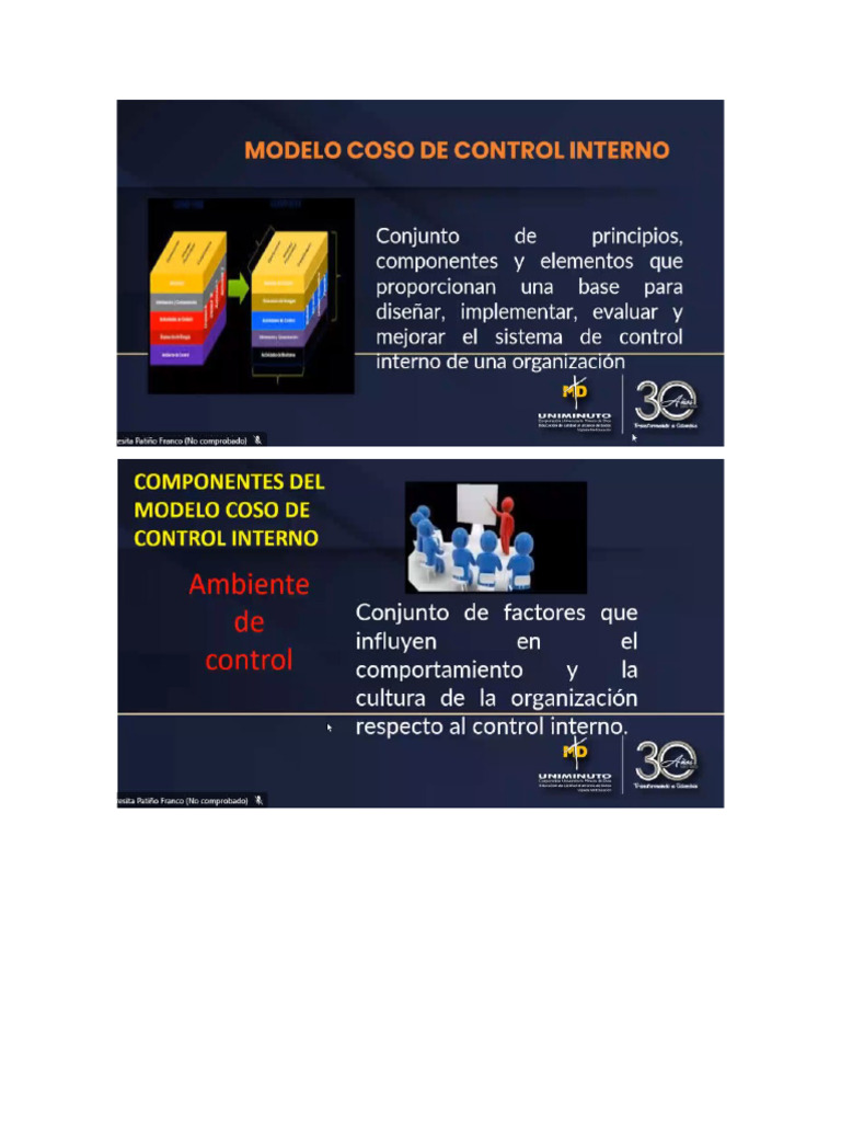 Auditoria y Seguimiento (Modelo COSO) | PDF