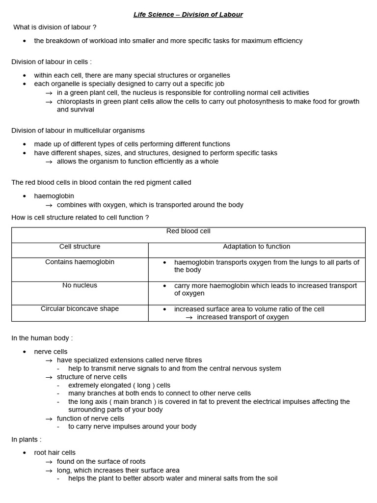 Division of Labour in Cells and Organisms | PDF | Tissue (Biology ...