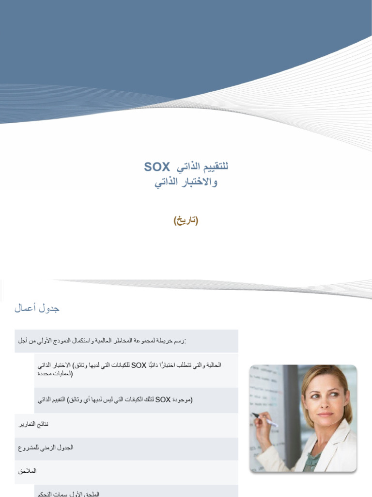SOX Self-Assessment and Self-Testing Instructions عر | PDF