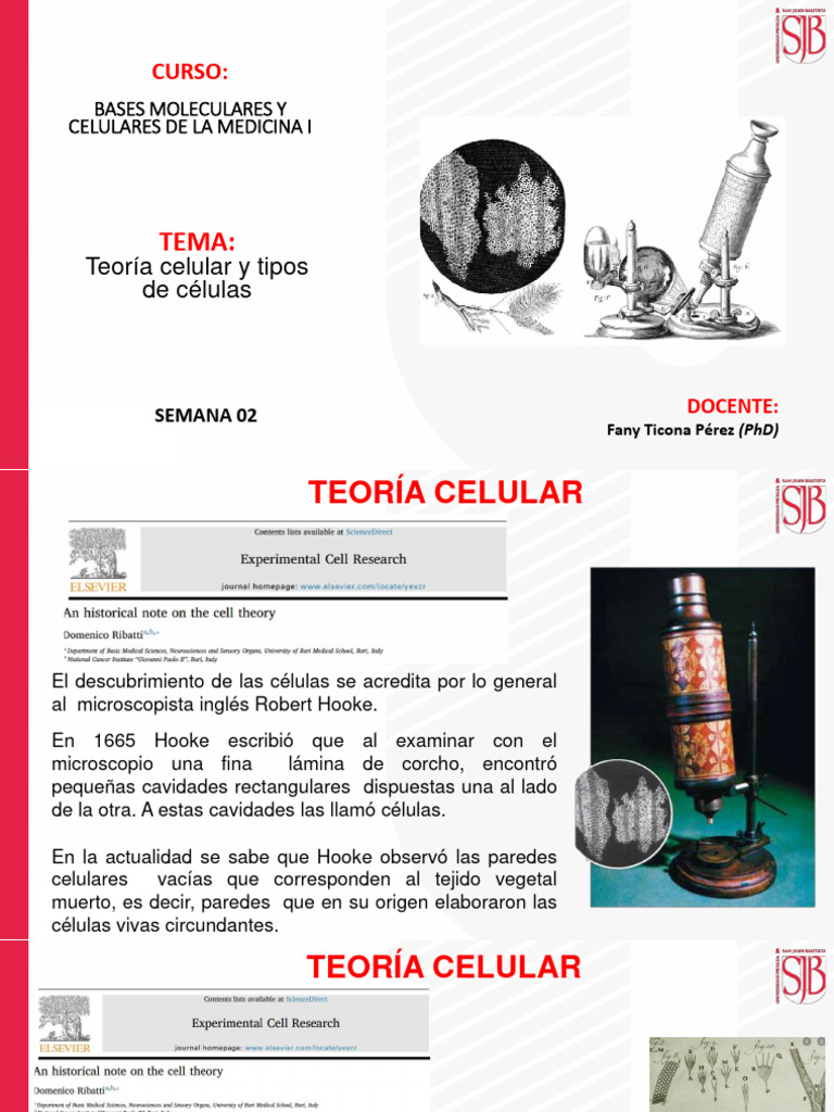 Teoría celular y tipos de células | PDF | Biología Celular) | Las bacterias