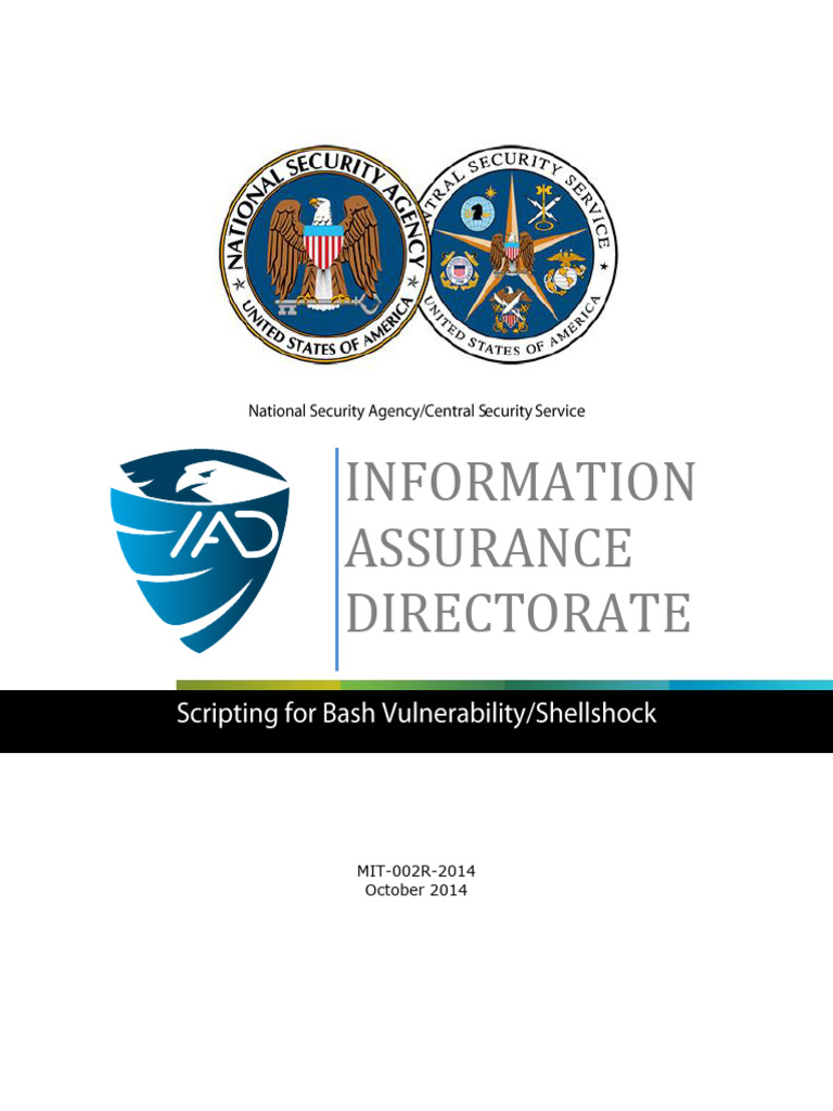 Scripting For Bash Vulnerability Shellshock Report Pdf Unix Software Engineering 7469