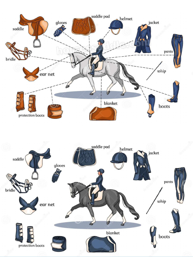 Horse Riding Equipment | PDF