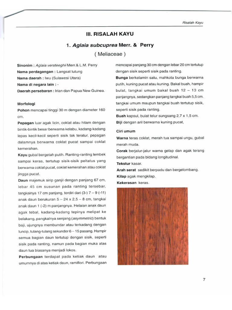 501162659-Atlas-Kayu-Indonesia-Jilid-III-1 (1) 1111 | PDF