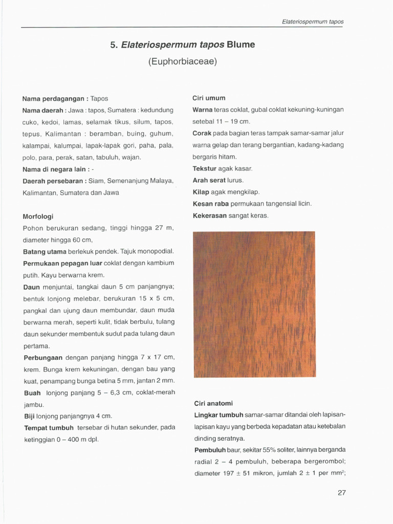 Atlas Kayu Indonesia Jilid III 1 | PDF
