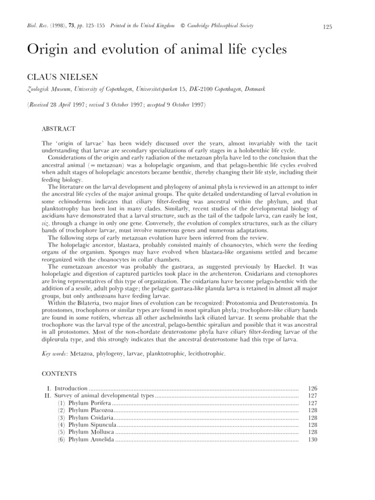 Evolution of Animal Life Cycles | PDF | Mollusca | Sponge