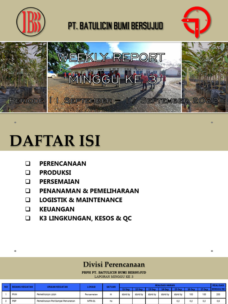 Contoh Weekly Report | PDF