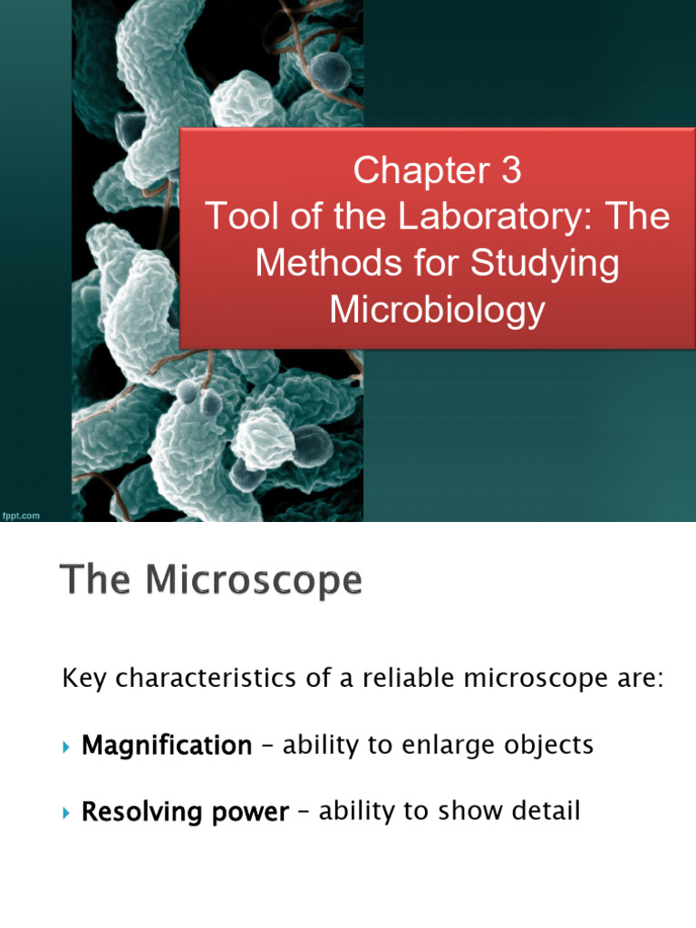 Chapter03_lecture (1) | PDF | Growth Medium | Staining