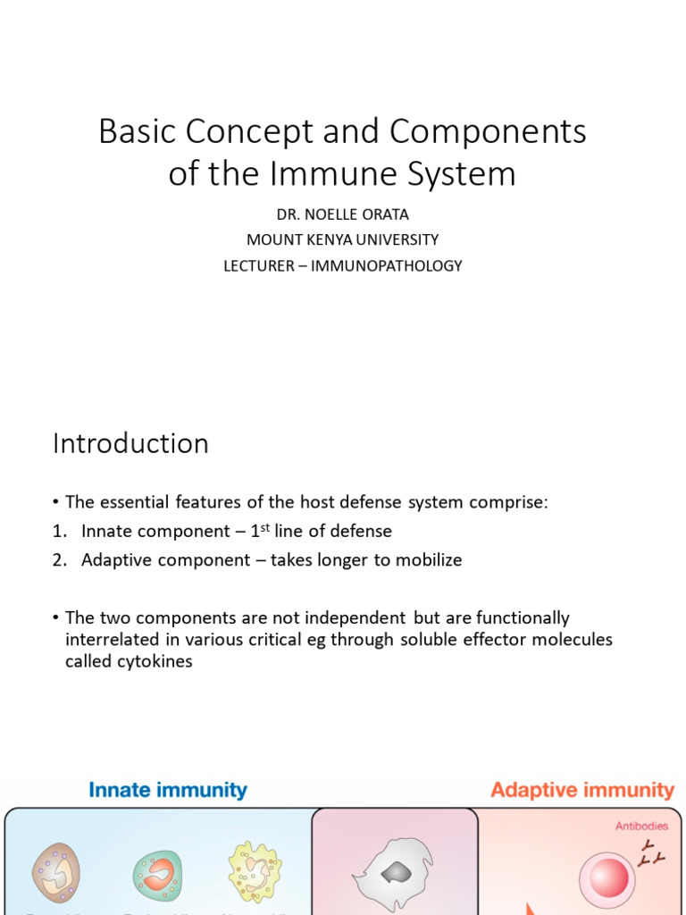 Basic Concept and Components of The Immune System | PDF | Immune System | Adaptive Immune System