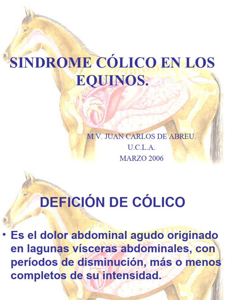 Sindrome Cólico en Los Equinos. | PDF | Medicina CLINICA ...