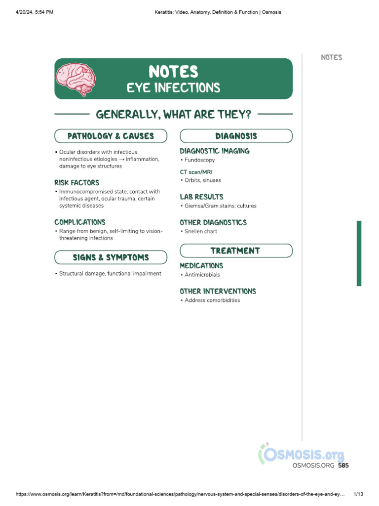 Keratitis Video Anatomy Definition Function Osmosis Pdf