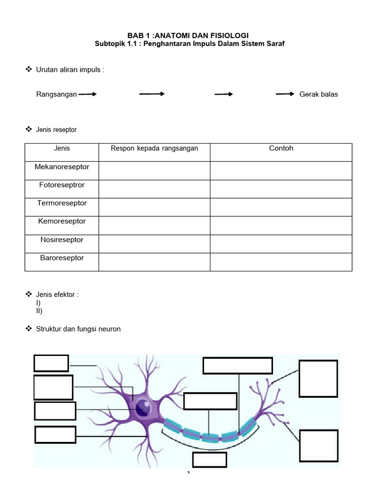 Bab 1 Anatomi Dan Fisiologi | PDF