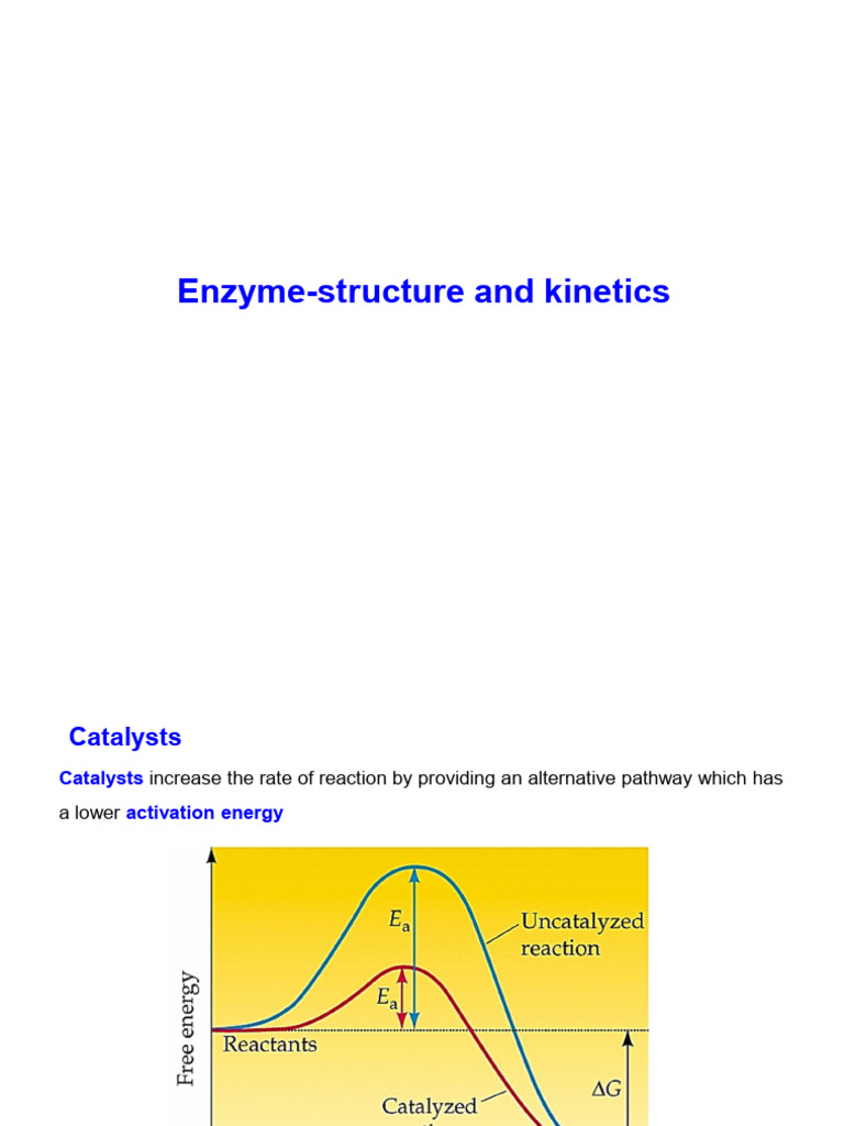 Enzyme Catalysis And Kinetics Explained Pdf Enzyme Kinetics Catalysis