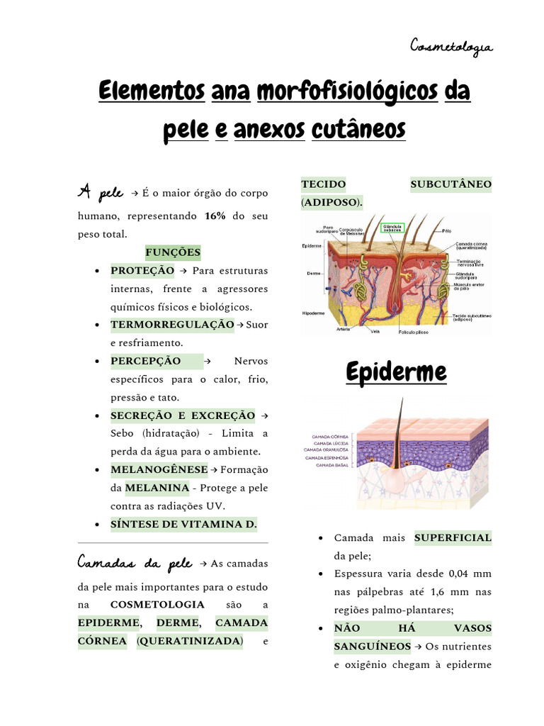 Elementos Ana Morfofisiológicos Da Pele E Anexos Cutâneos Pdf