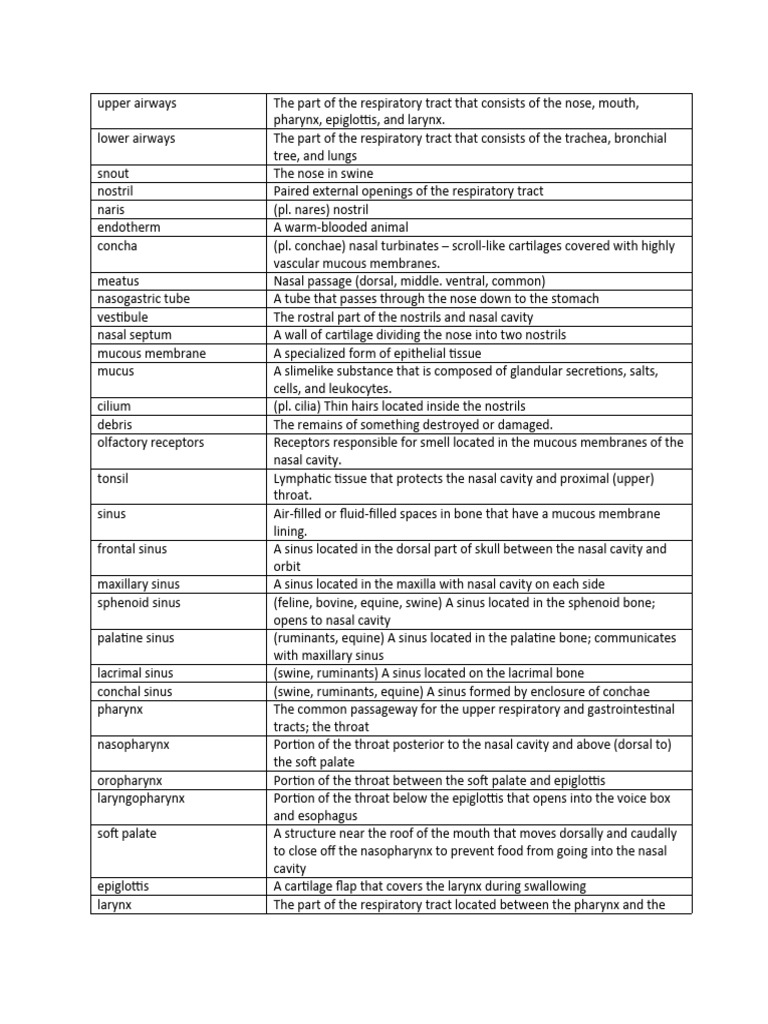 Veterinary Respiratory Glossary | PDF | Respiratory Tract | Lung