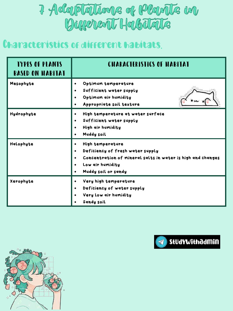 Bio CH7 F5 Studywithadmin | PDF | Leaf | Plant Stem