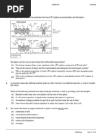 Anatomy of the Penile Raphe | PDF | Genitourinary System | Mammal ...