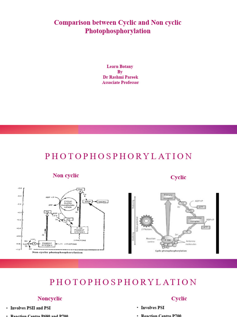 Comparision Between Cyclic and Non Cyclic | PDF