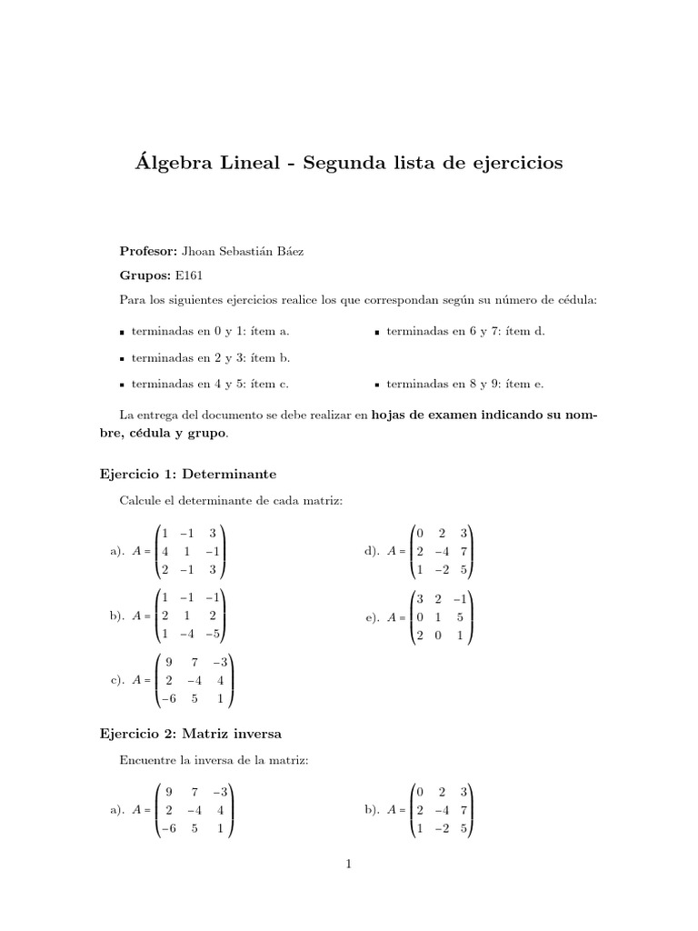 Lista 2 de Ejercicios Álgebra Lineal | PDF | Determinante | Matriz (Matemáticas)