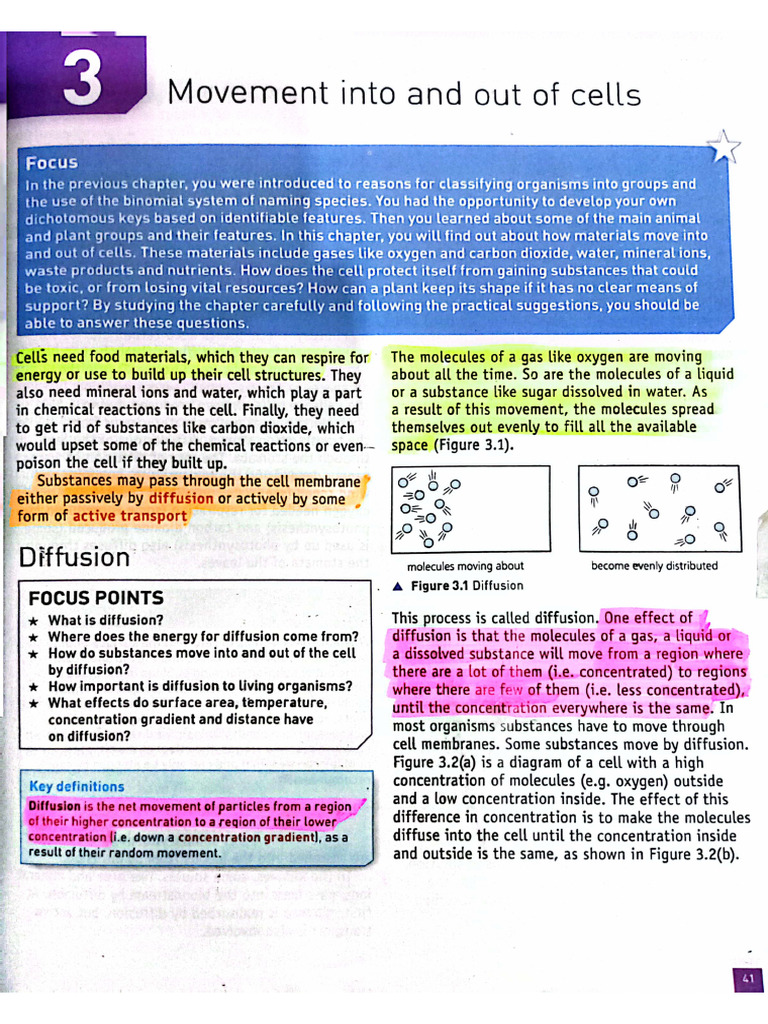 Biology Movement Into and Out of The Cells | PDF