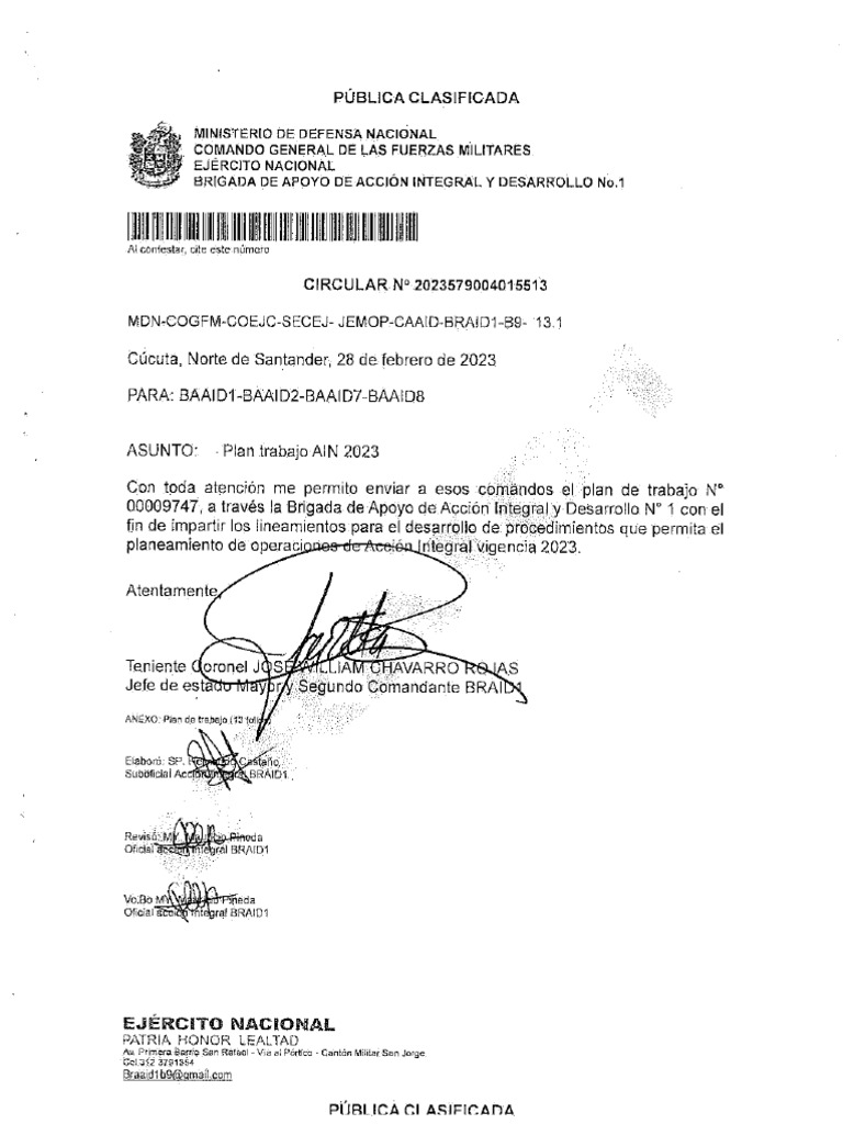 Plan Trabajo Accion Integral 2023 Braid1 | PDF