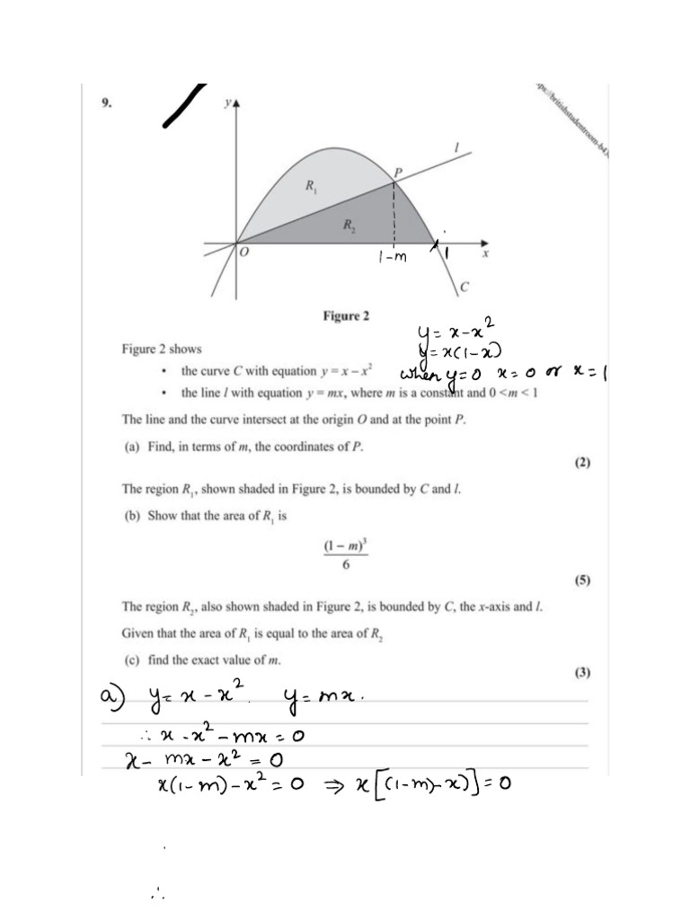 Integration PPQ | PDF
