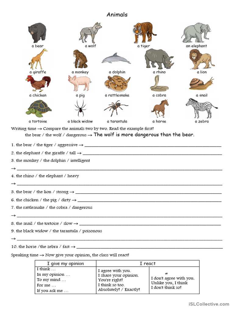 Comparing Animals | PDF | Zoology