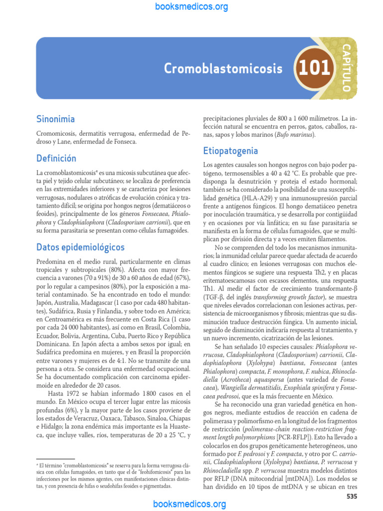 Dermatologia Arenas 6a Edicion PDF | PDF | Terapia | Medicina CLINICA