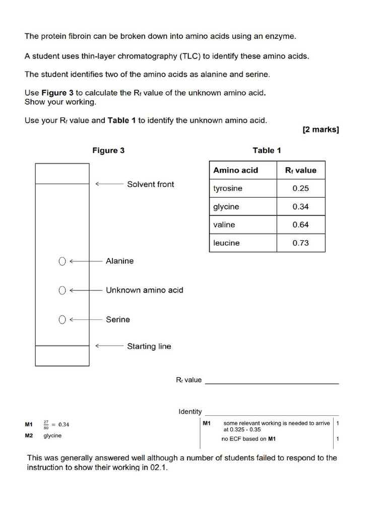 TLC PPQs MS Examiner's Comments AQA | PDF