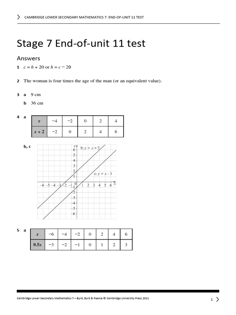 End of Unit 11 Test Answers - Year 7 | PDF