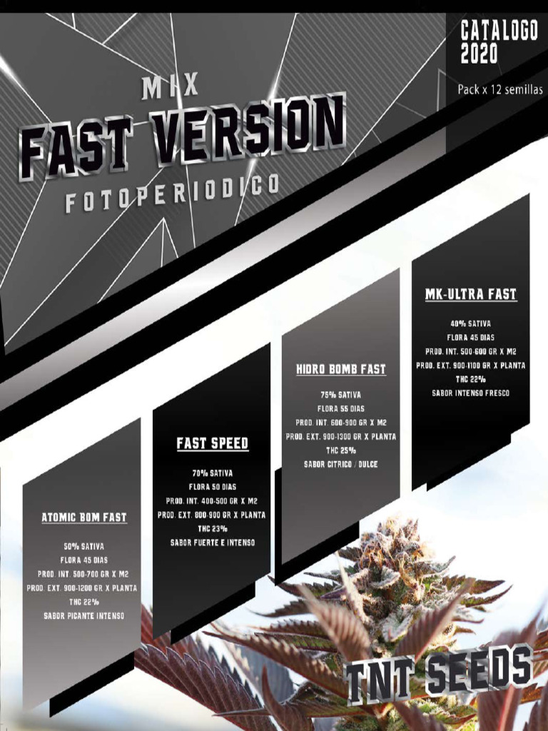 TNT Seeds Catalogo 2020 | PDF