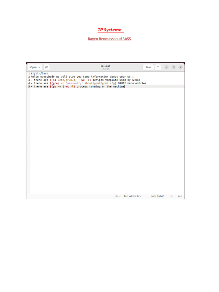 TP Linux (Sys) | PDF