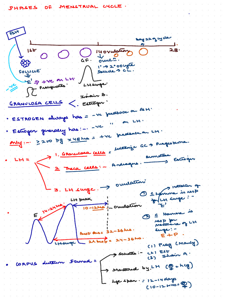 Gynae T and D Expl - 1 | PDF | Menstrual Cycle | Sex