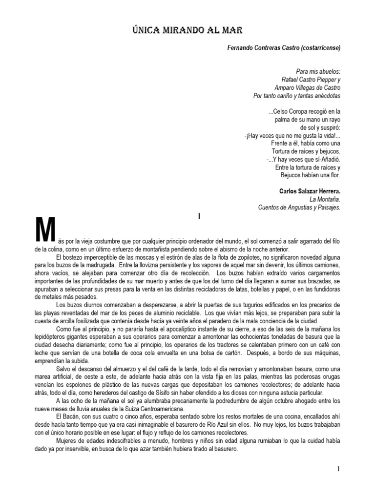 Única Mirando Al Mar | PDF | Residuos | Buceo bajo el agua