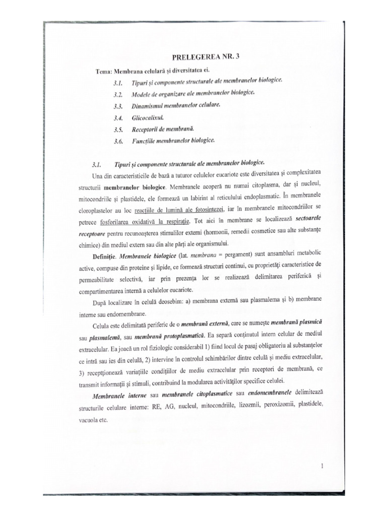 Documente Scanate | PDF