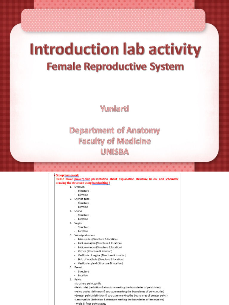 Intro Lab Anatomi Rps (2024) | PDF | Pelvis | Uterus