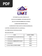 Conventional Isolation Methods. Detection of Salmonella SPP | PDF ...