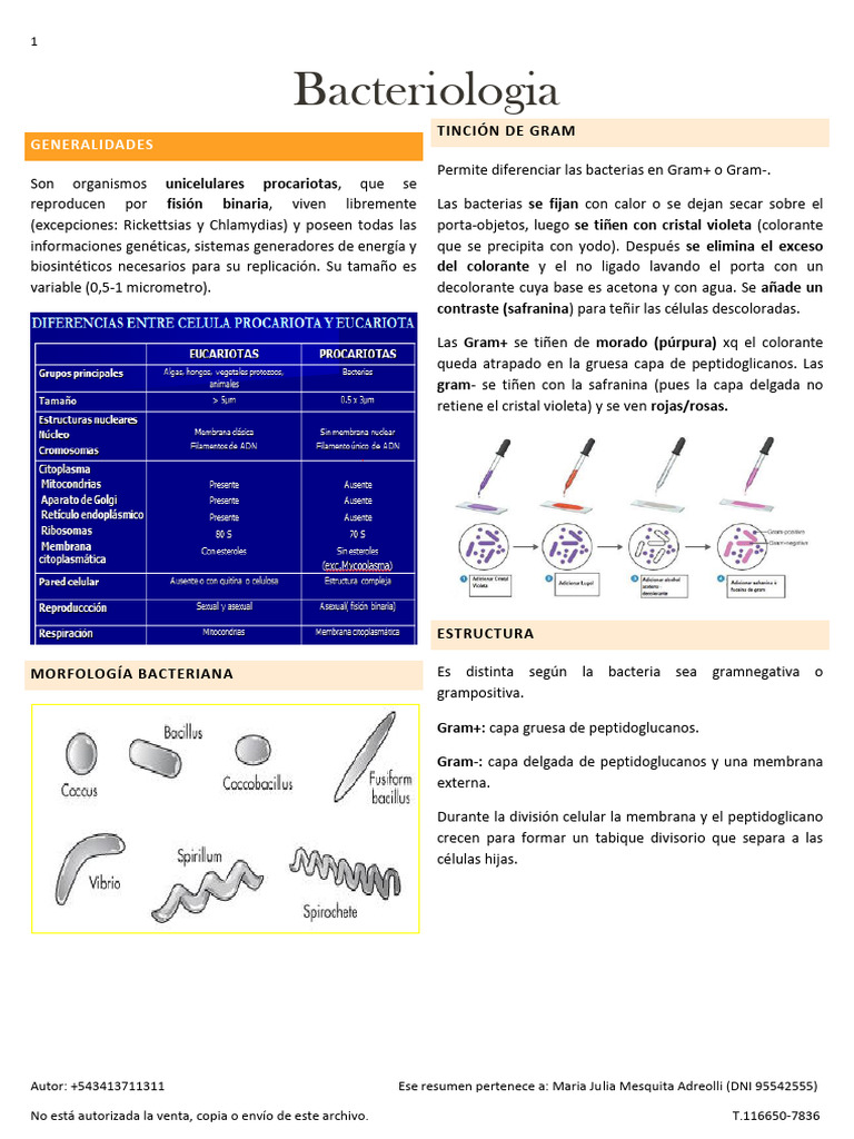 3 Bacterio Parcial | PDF | Las bacterias | Bacterias Gram-negativo