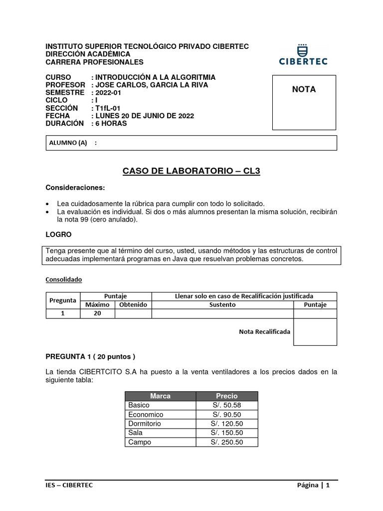 Algoritmia: Caso de Laboratorio CL3 | PDF